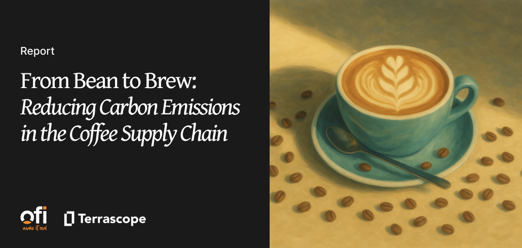 Mitigation Hierarchy The Key To A Viable Decarbonisation Strategy